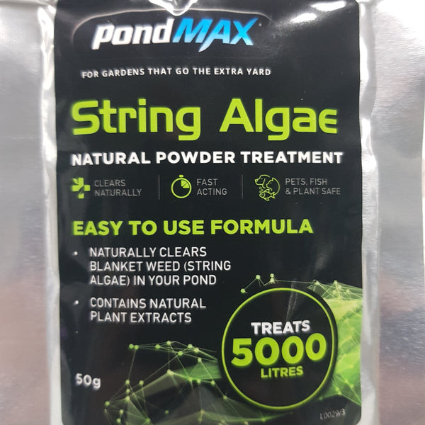 String Algae water treatment for ponds - Aquatic Creations Melbourne