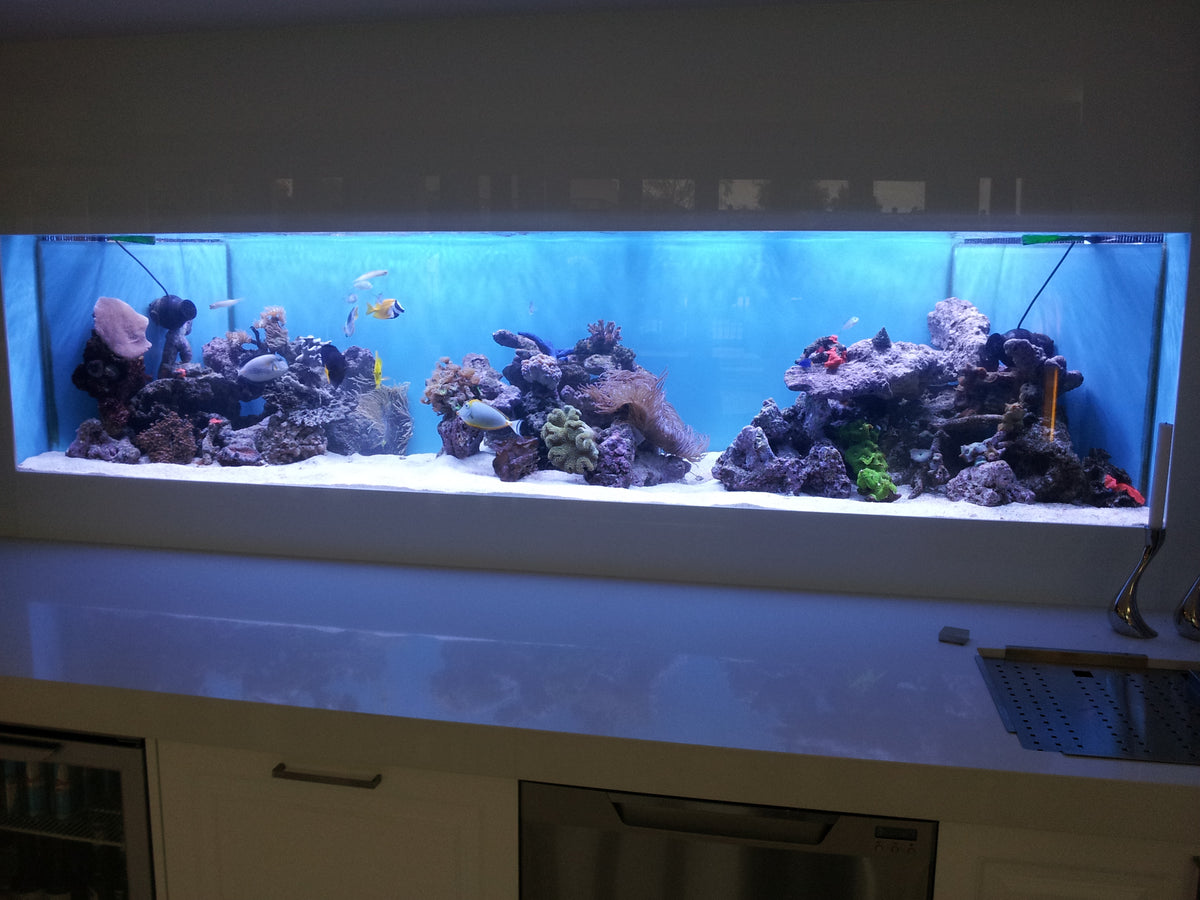 Custom Fish Tanks - Aquatic Creations Melbourne