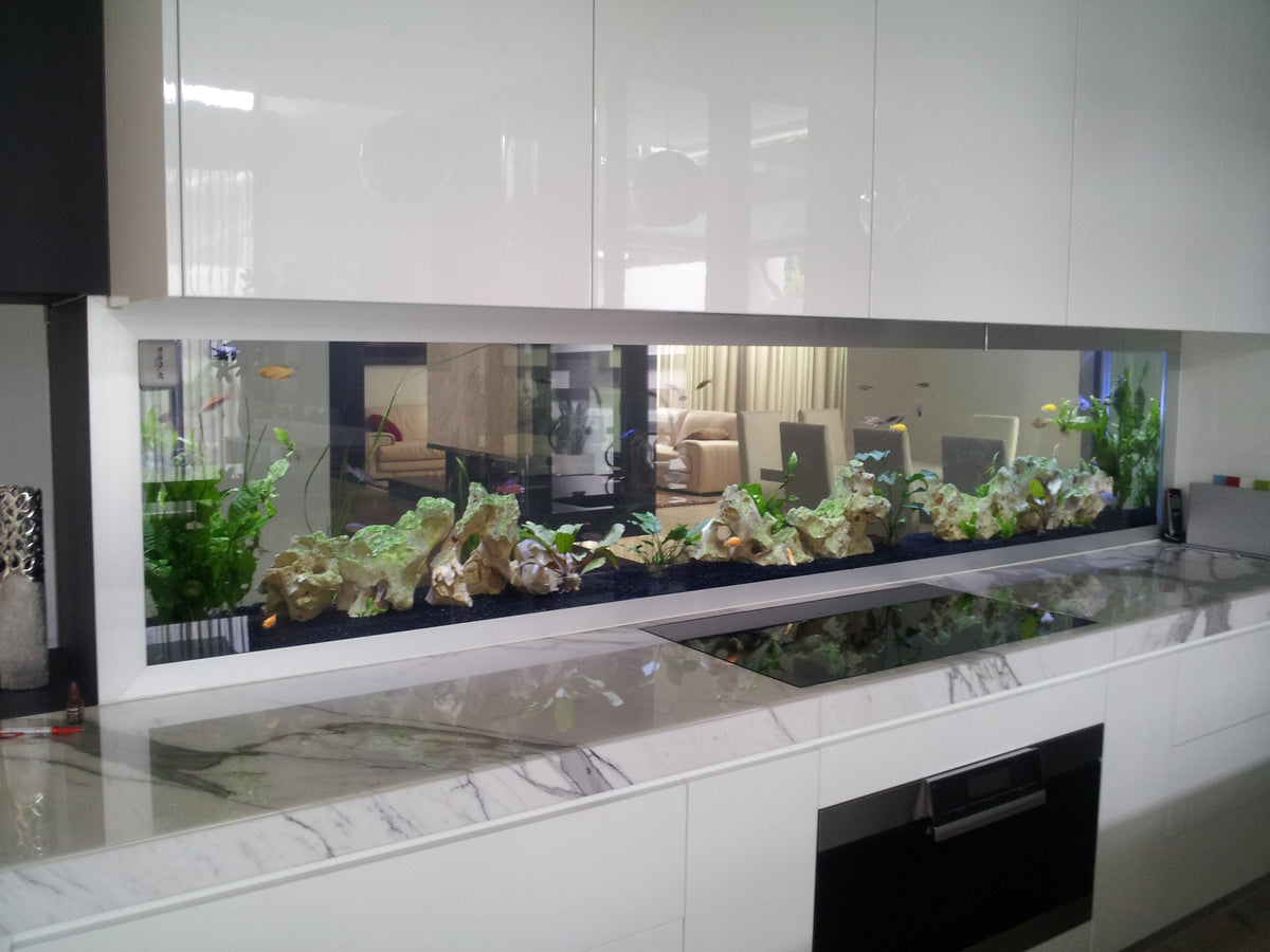 Custom Fish Tanks - Aquatic Creations Melbourne