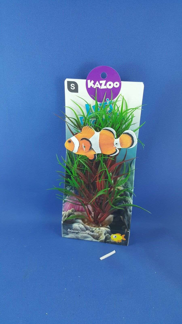 Kazoo aquarium plant, small with green and red leaves with solid pebbl ...