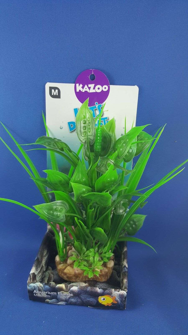 Kazoo aquarium plant, medium size, assorted green leaves with solid pe ...
